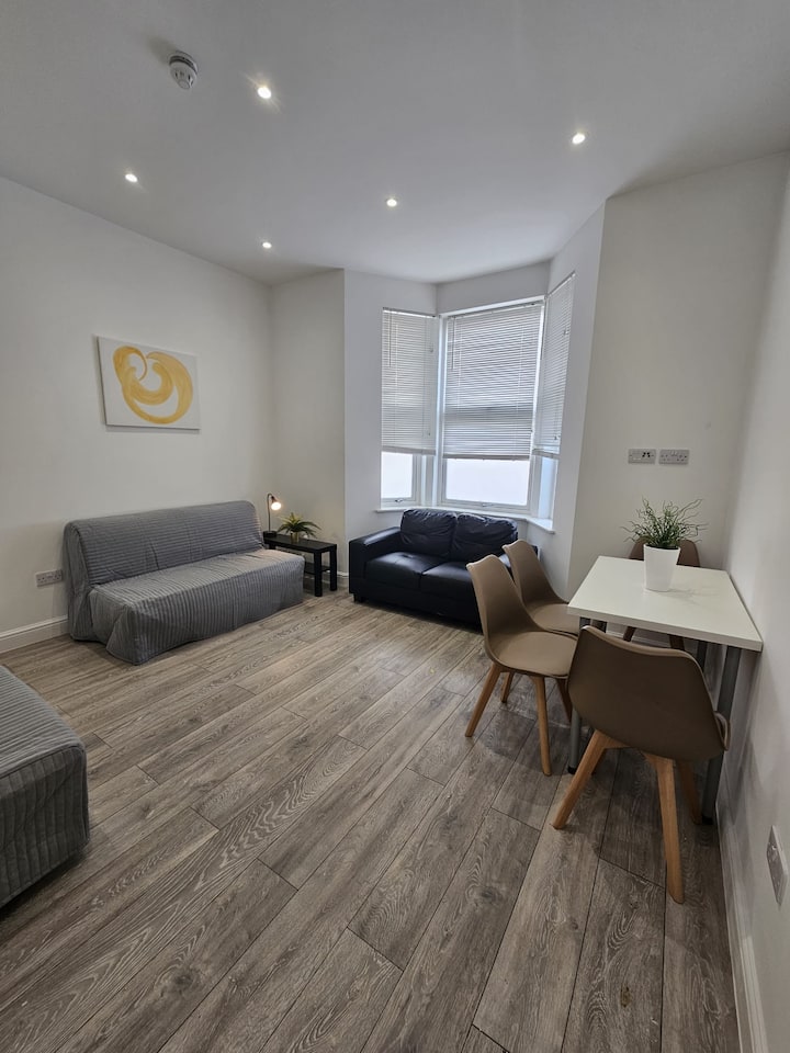 Mega 1 Bedroom Studio In Brixton - Brixton - London