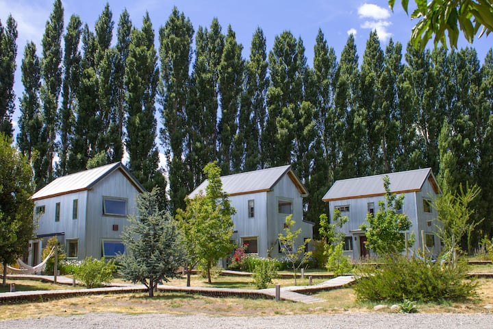 Chapa 4 - San Martin de los Andes