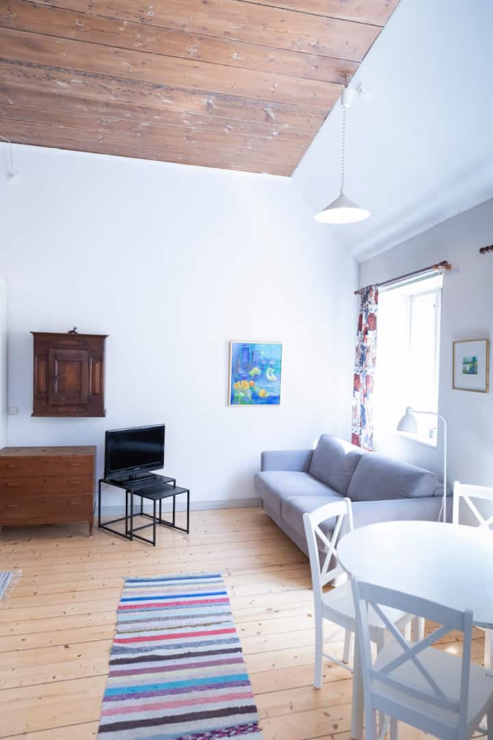 Cosy Apartment In Central Visby - Visby