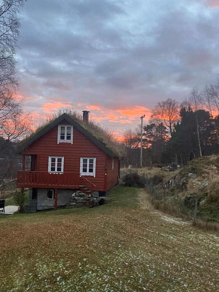 Koselig Hytte På En Bilfri Og Idyllisk øY - Alesund