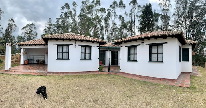 Casa En Un Bosque De Eucaliptos / Paipa - Duitama - Duitama