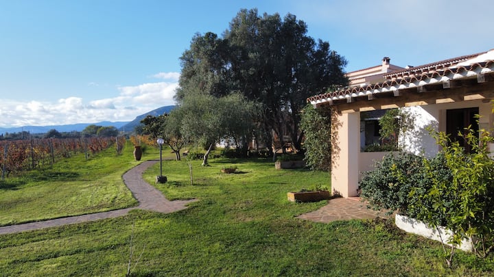 Agriturismo Donnalina Apartament - Tipologia Mirto - Orosei