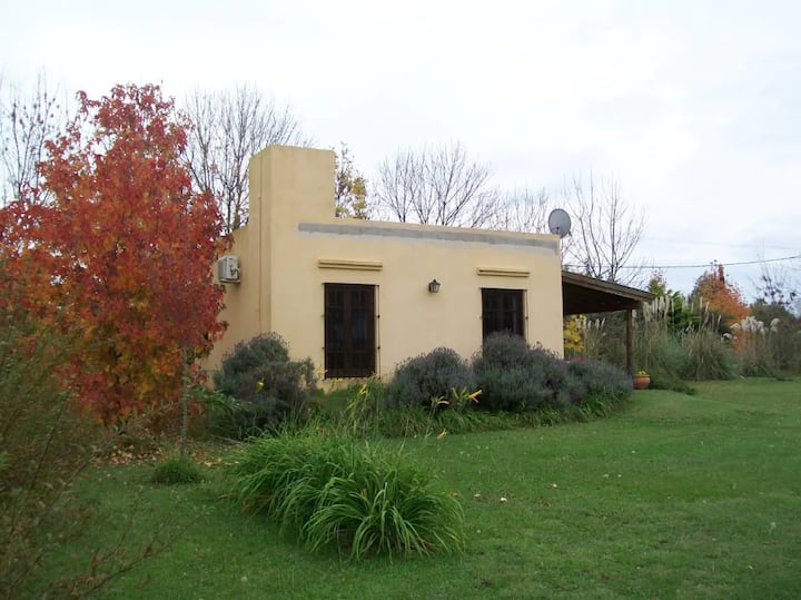 Casa En Zona De Quintas - San Antonio de Areco