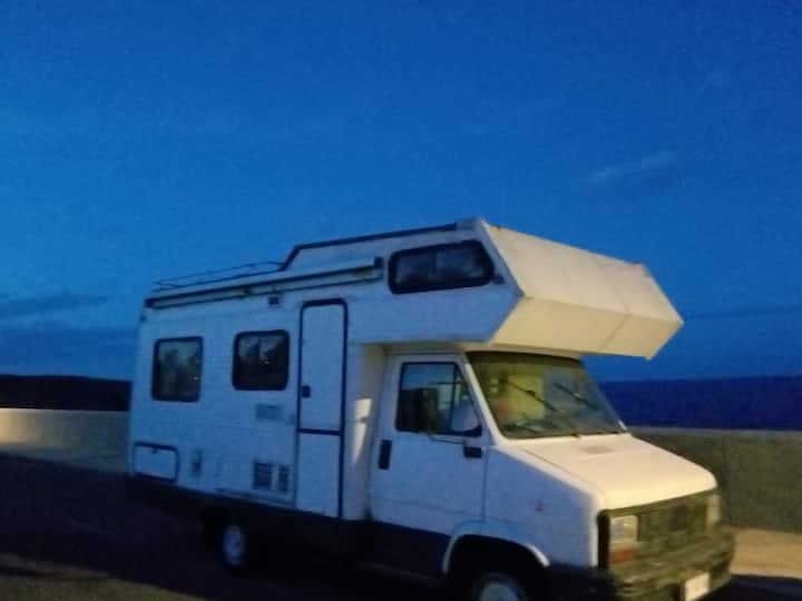 Menorca Safari - Menorca