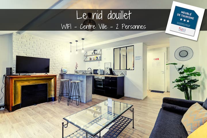 Le Nid Douillet - Centre Ville - 3 éToiles - Bourg-en-Bresse