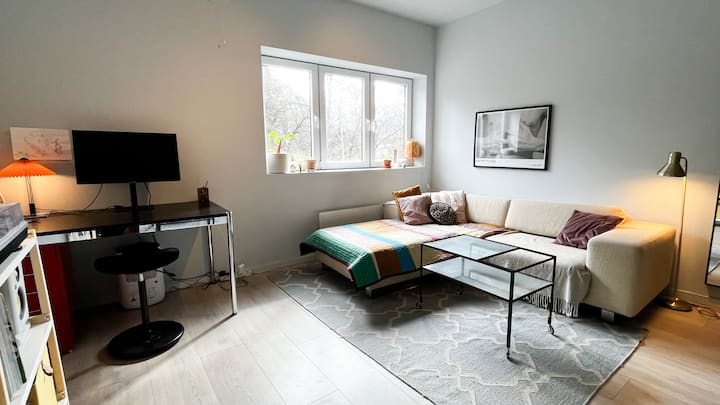 Small Cozy Apartment - オスロ