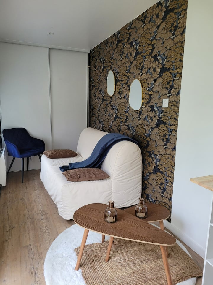 Chambre Avec Coin Cuisine Et Salle De Bain - Nantes
