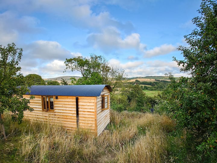 Woodpecker Hill - Shepherds Hut - Seaford