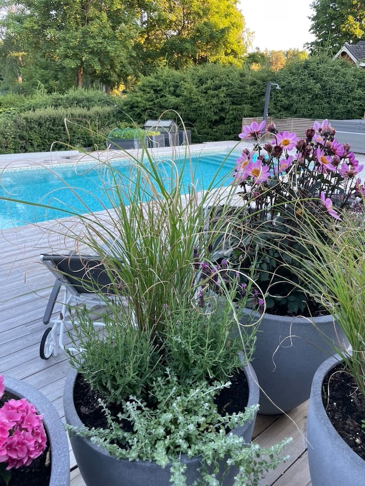 Magisk Villa Med Sjöutsikt, Pool & Jaccuzzi - Täby