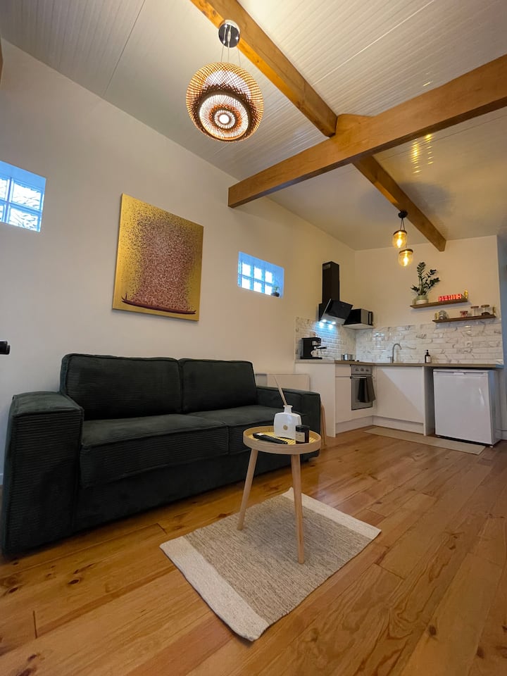 Appartement Dépendance Maison - Fontenay-sous-Bois