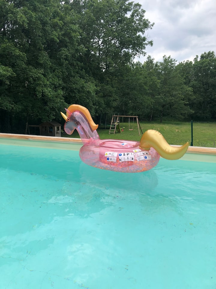 Maison Récente Avec Piscine - Saint-Cirq-Lapopie