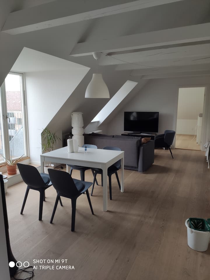 Penthouse Apartment In The City - Copenhaguen