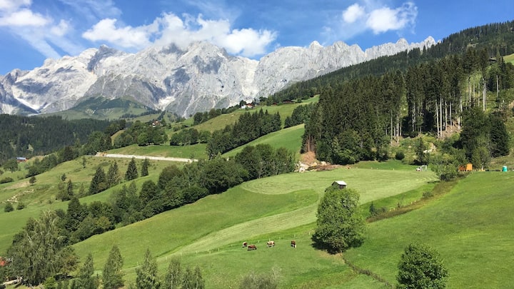 Alpendomizil I Bergblick
Inclusief Hochkonigskaart - Mühlbach am Hochkönig