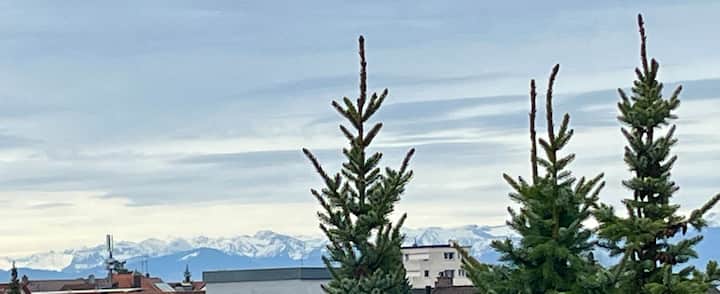Ferienwohnung Seeliebe - Friedrichshafen