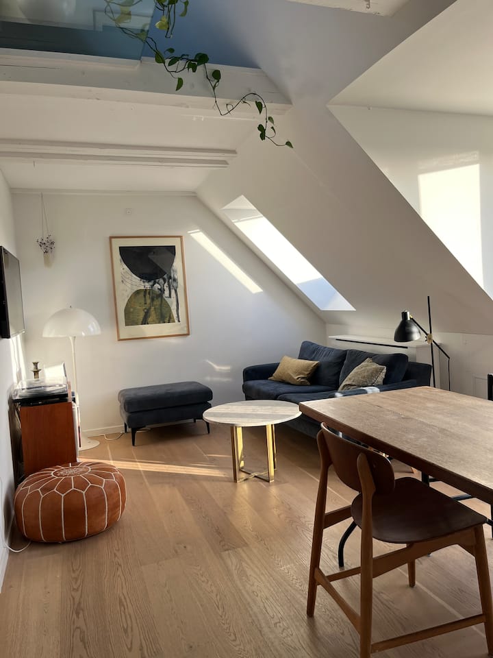 Taglejlighed 15 Min Fra Centrum - Kopenhagen