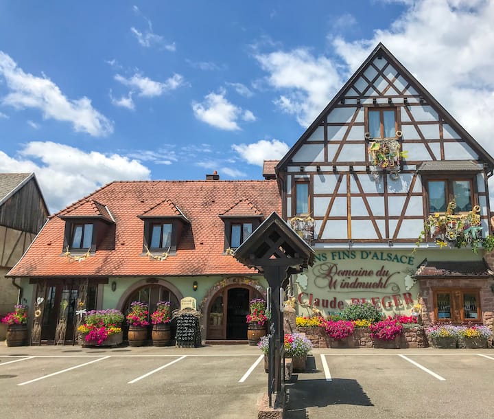 Domaine Viticole - Bergheim, France