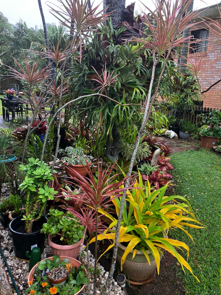 Ground Floor Flat, Lush Garden - 耶蓬