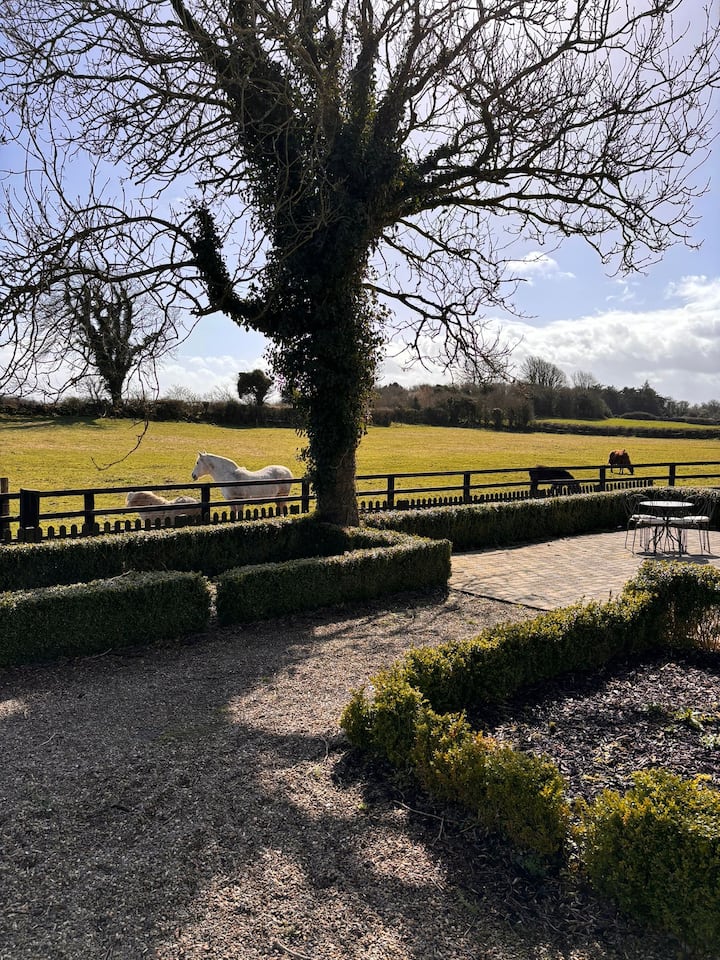 Unique Group Stay For 10 In The Burren, Clare - Ennis