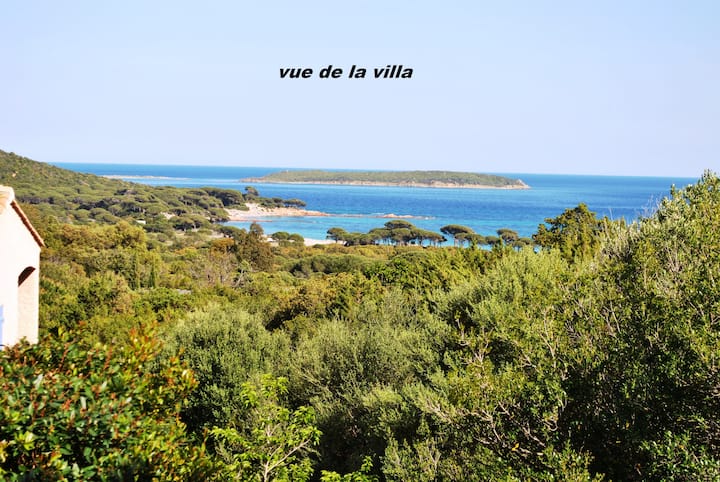Villa N°6
2 Chambres Bord De Mer - Porto-Vecchio