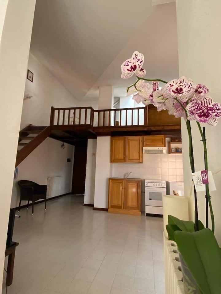 Arborea House - Monti