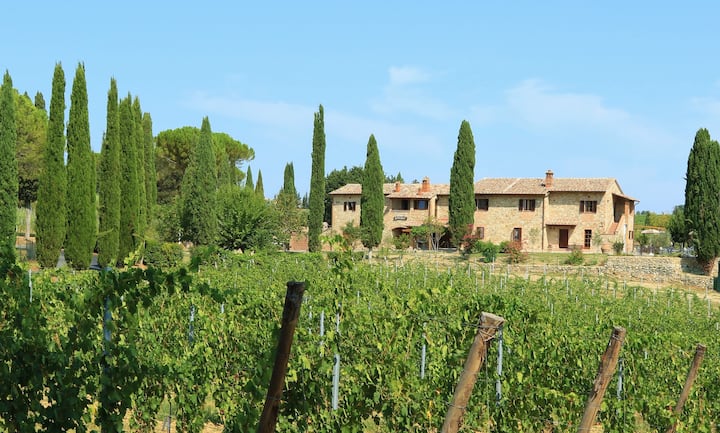 Piccola Camera In Romantico Agriturismo - San Gimignano