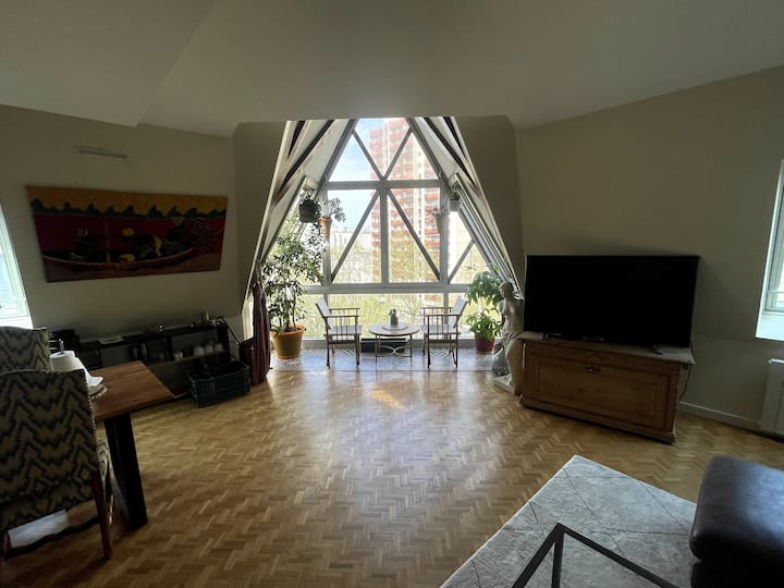 Le Canal Saint-martin à Vos Pieds ! - Paryż