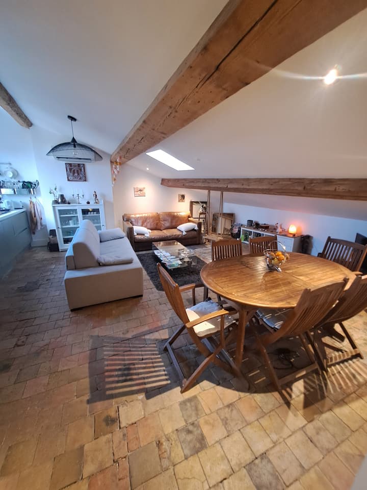 Appartement Typique Croix Rousse - Lione