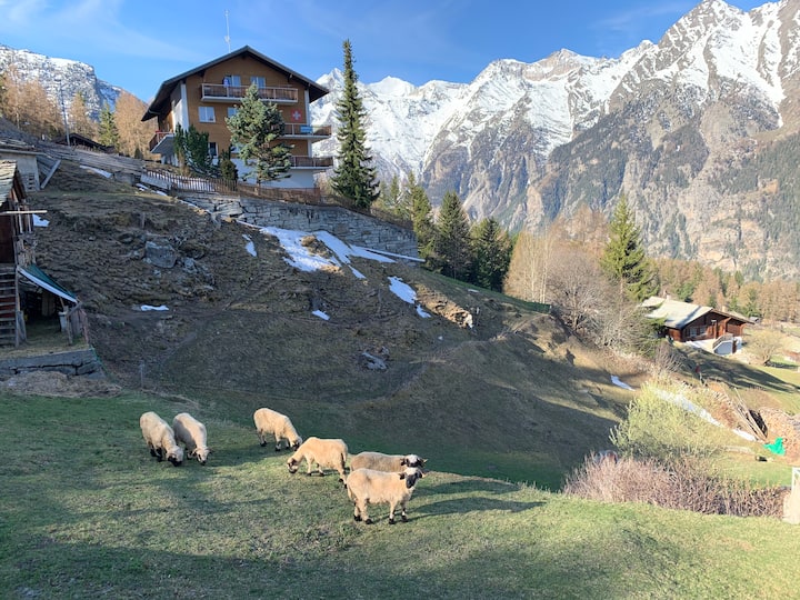 Panorama At Haus Waldheim (11) - Grächen