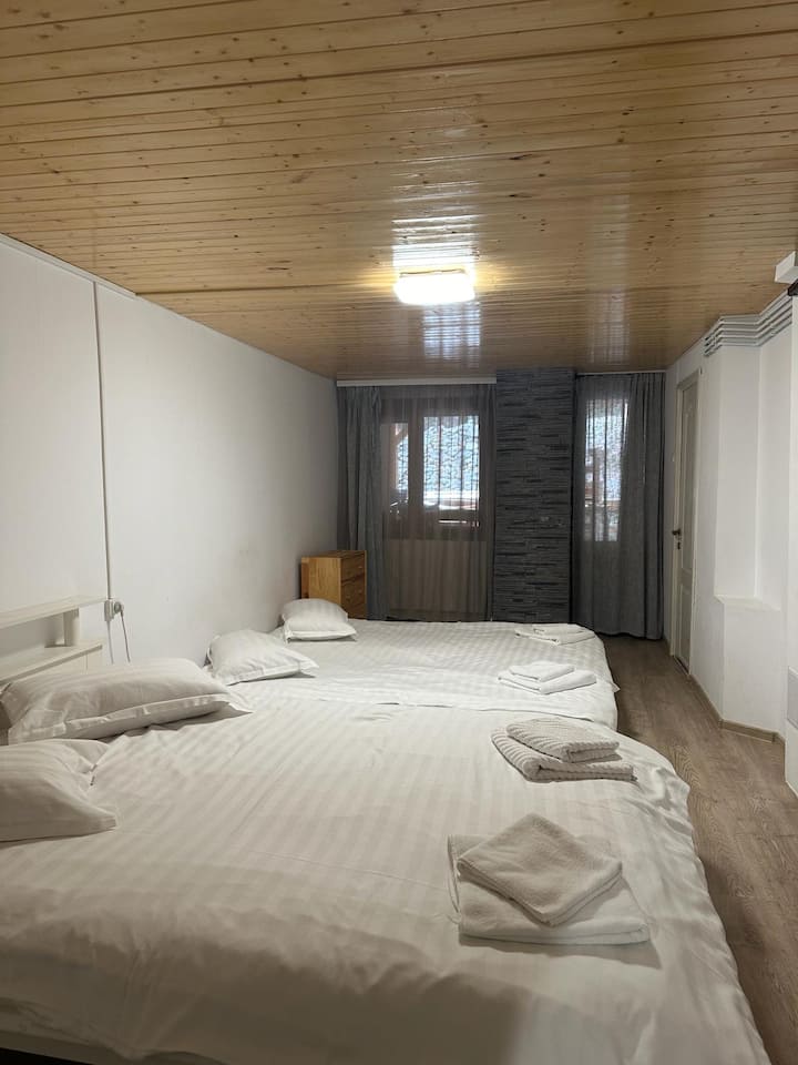 Cab. Maria Petrimanu - C 2 - Malaia