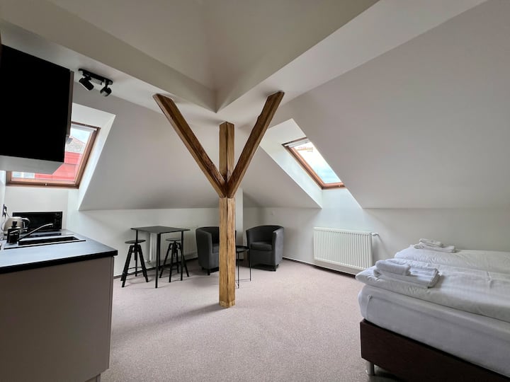 Studio Apartment Close To Center (8) - Praga