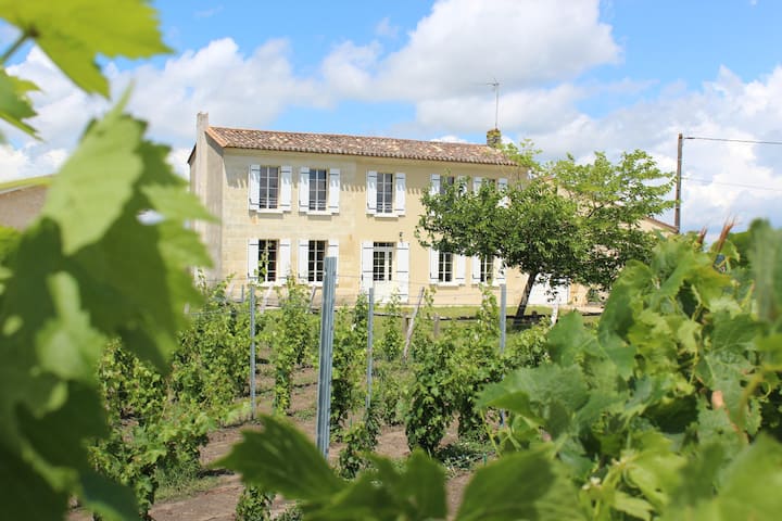 Girondine | Vignoble | Calme | 5' St Emilion - Saint-Émilion