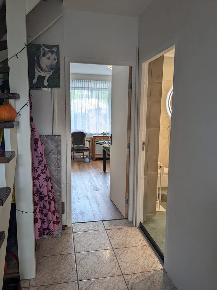 Family House Amsterdam - Diemen With The Cat - Diemen