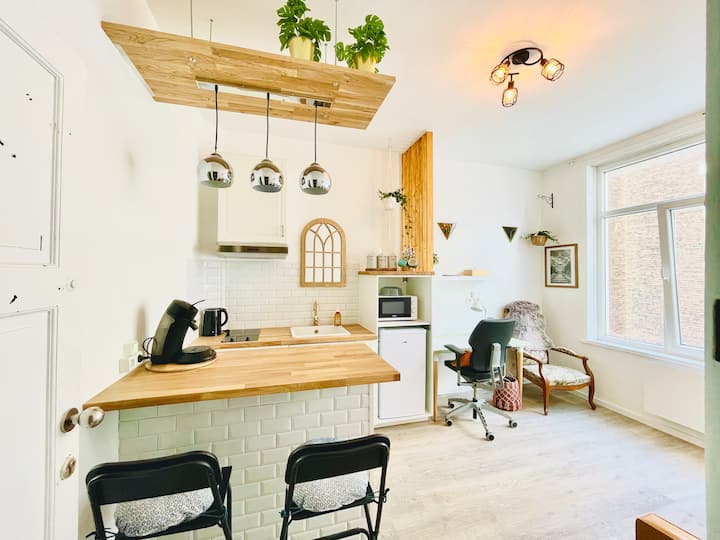 Charming & Quiet Downtown Studio - Brussels
