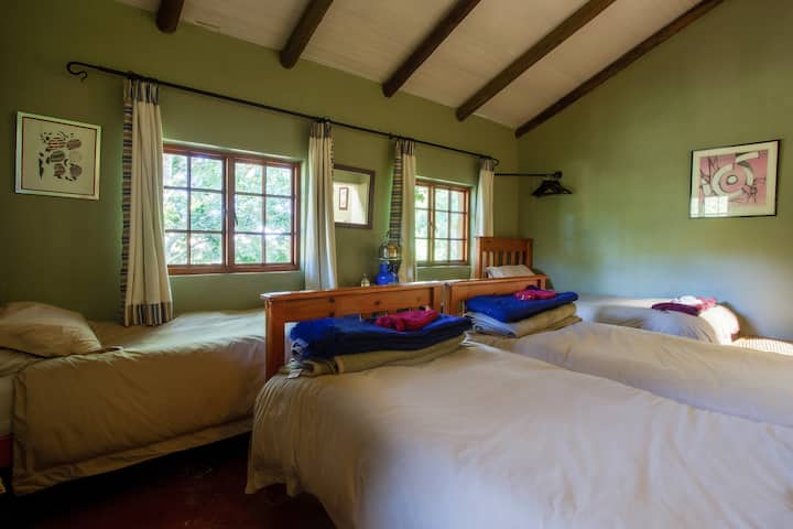 Paardeplaats - Suikerbossie Family Room - Mashishing
