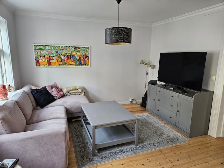 Cozy Downtown 2bdr Apartment - Reykjavík