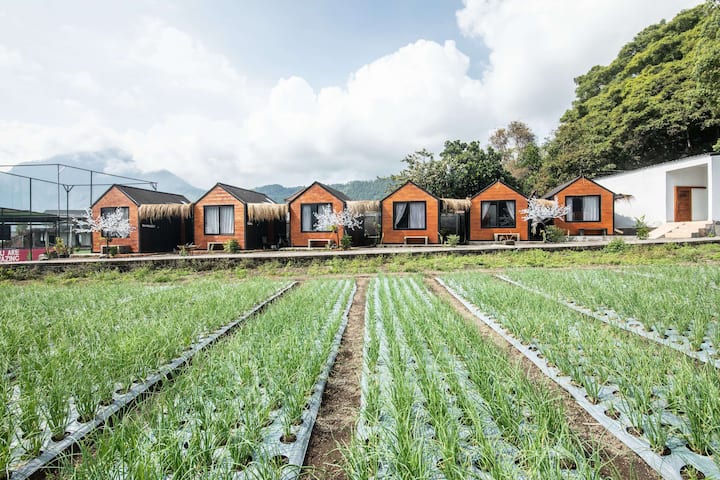 Romantic Cabin Lake Kintamani | With Ac & Smart Tv - Kintamani