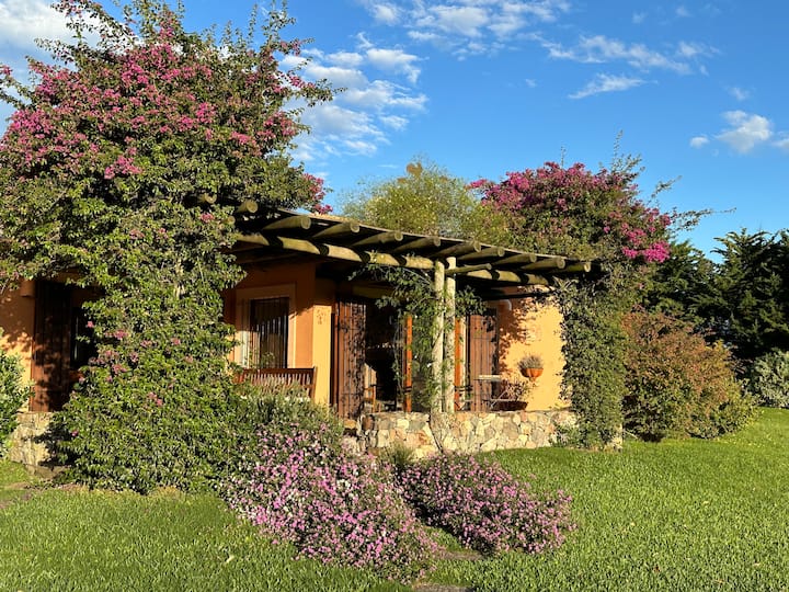 Chacra Marítima En Punta Ballena - ウルグアイ