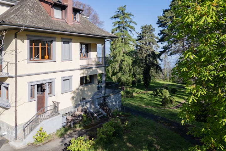 "Les Mateirons" Villa Belle éPoque 7 Chambres - Évian-les-Bains