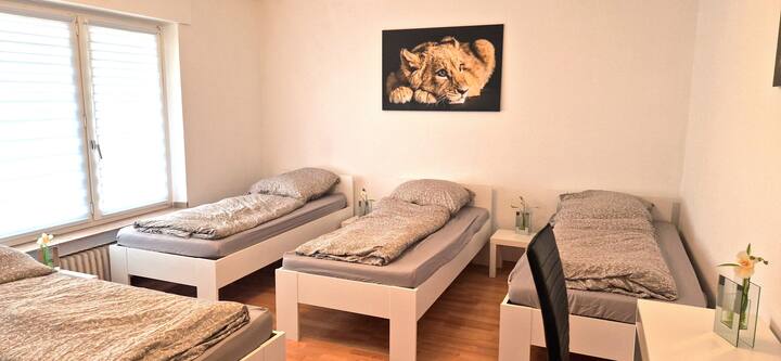 Großes Zimmer In Paderborn - Paderborn