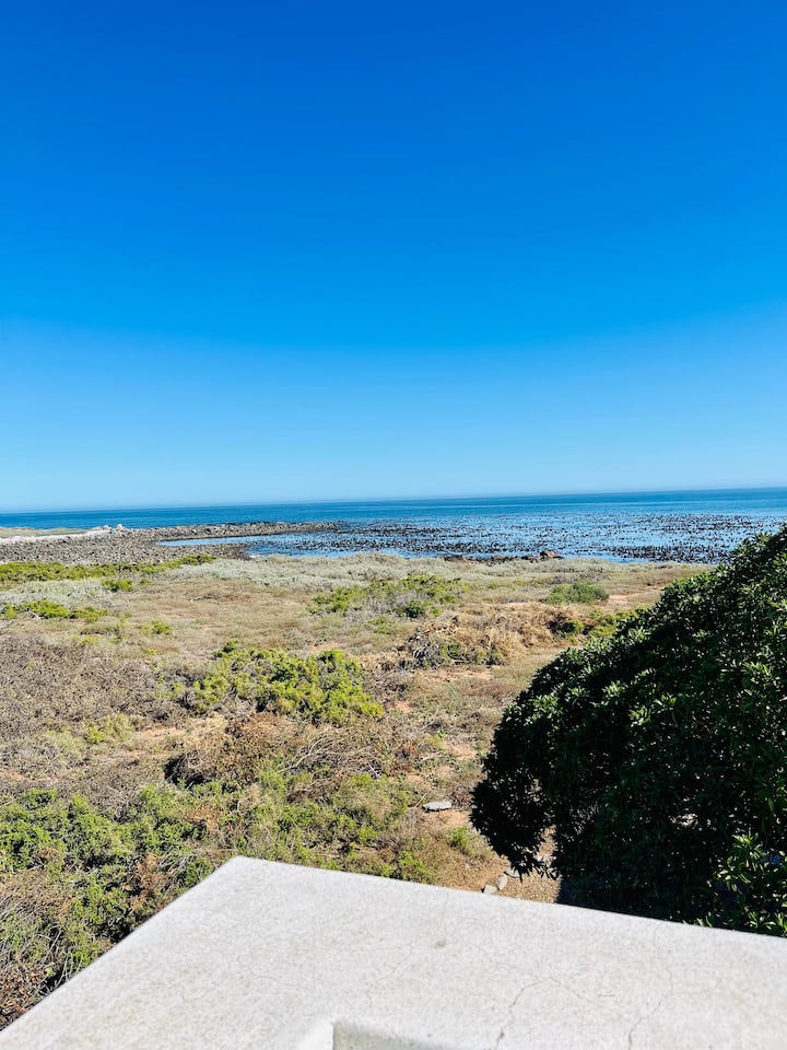 Calm At Duyker Eiland - Saint Helena Bay