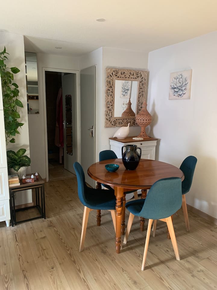 Appartement Centre Village A 150 M  De La Plage - Le Grau-du-Roi