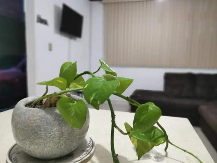 Bear House *Near The Downtown* - Querétaro