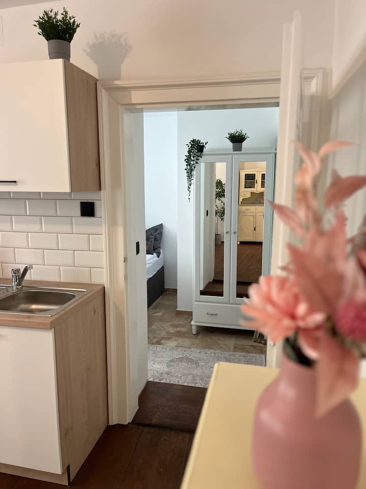 Entzückendes Apartment "Rose" Im Zentrum - Wiener Neustadt