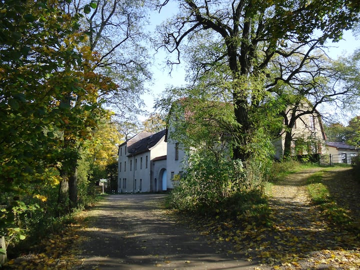 Wohnen An Der Historischen Wassermühle Fewo 2 - Strausberg