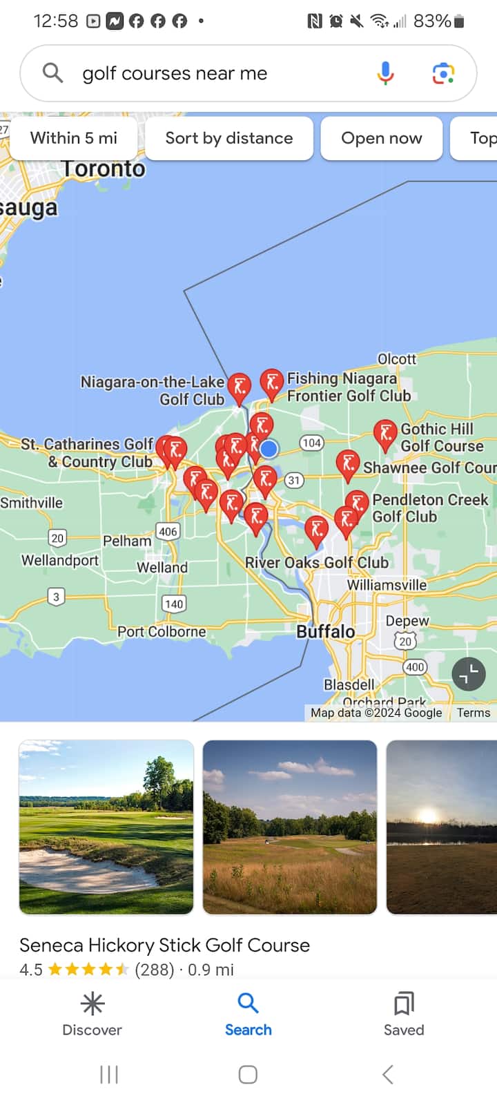 Golfers Retreat - Four Mile Creek State Park, Youngstown