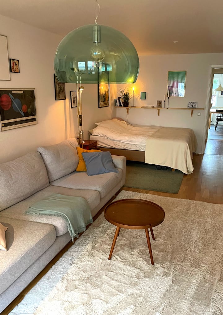 Large Two Room Apartment. - Malmö