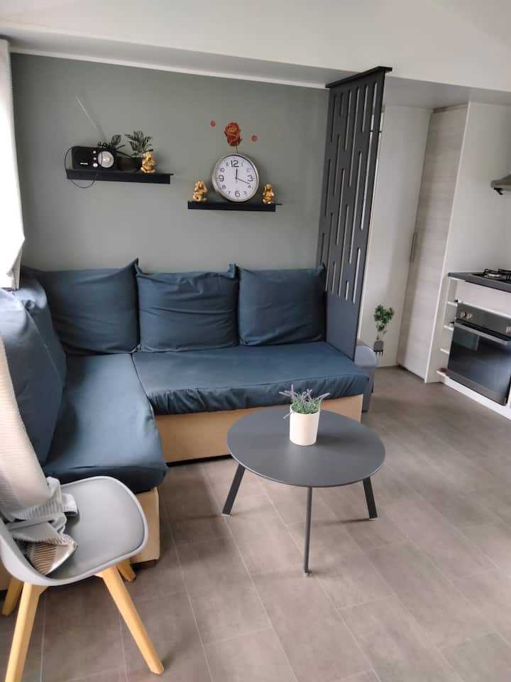 Piscines & Activités Spacieux Mobil Home 2 Ch /368 - Onzain