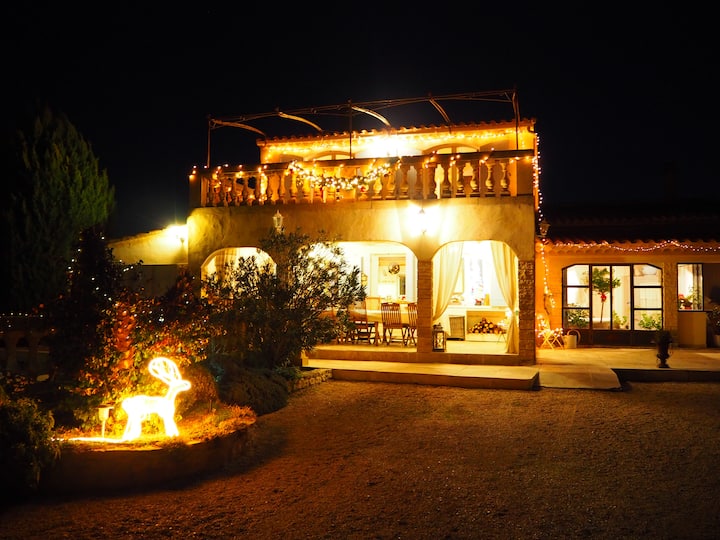 Les Oliviers Qui Chantent - Vaucluse