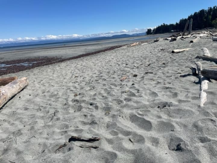 Kye Bay Oceanside #13 - Comox