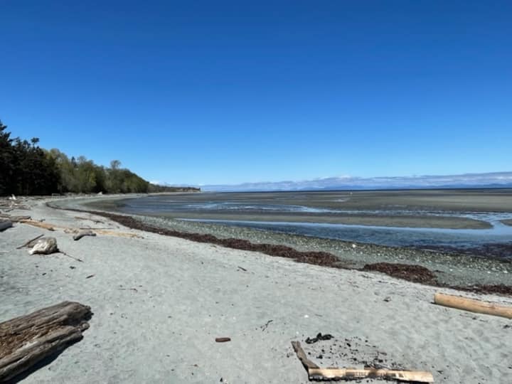 Kye Bay Cottage #2 Comox- Oceanside - Comox